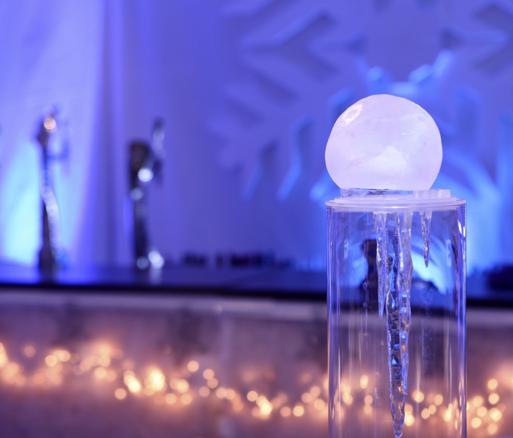 Winter Wonderland Theme Party Accolade